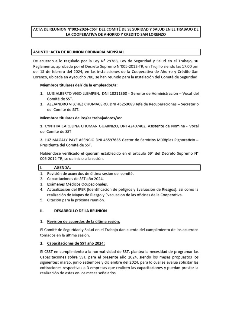 ACTA N°002-2024-CSST | PDF | Gobierno
