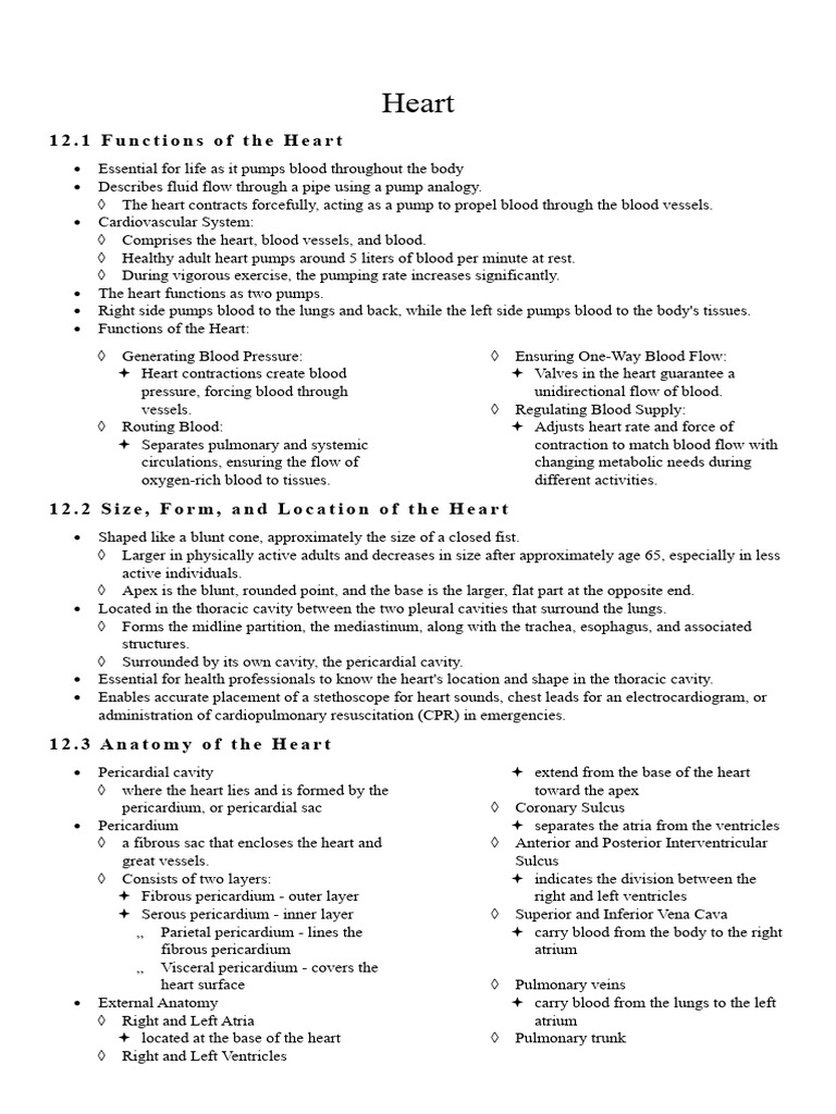 Heart | PDF | Atrium (Heart) | Heart