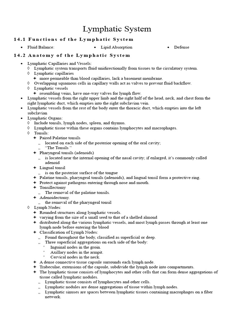 Lymphatic System | PDF | Lymphatic System | Lymph Node