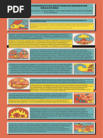 8 Pasos Del Sci | PDF