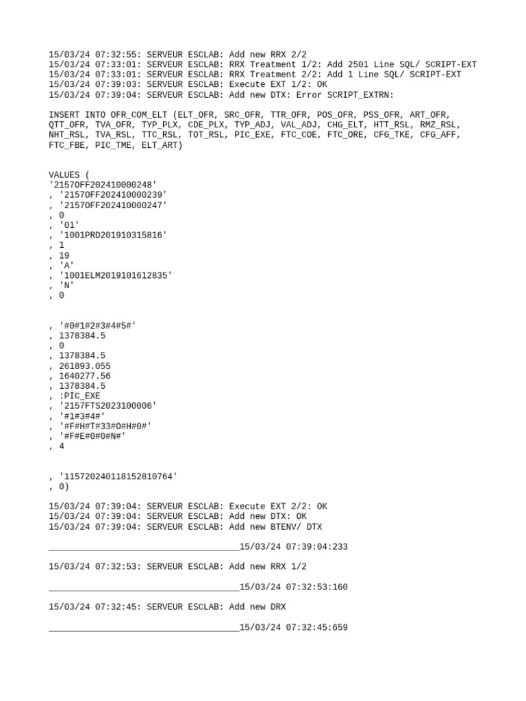 Rapport Syn 240315080158 | PDF | Computer Data | Information Technology Management