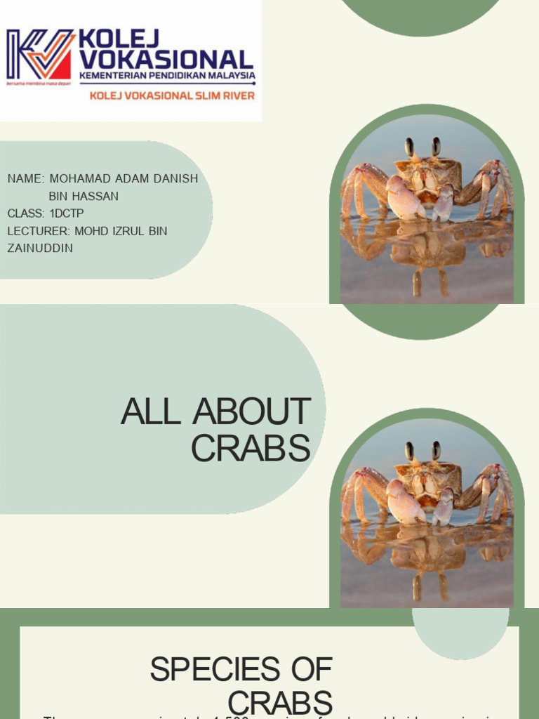 All About Crabs (2) (1) .PPTX Adik Kontol | PDF | Crab | Shrimp