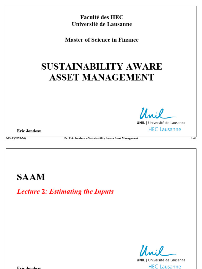 Saam Slide l2 | PDF | Asset Allocation | Investment Management
