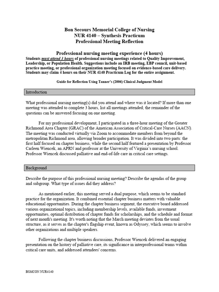 Messier Nur4140 Professionalmeetingreflection | PDF | End Of Life Care ...
