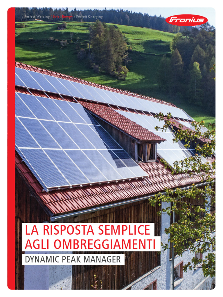 SE BRO Dynamic Peak Manager IT | PDF