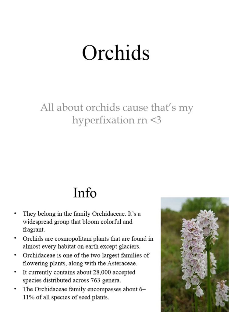 Orchids | PDF