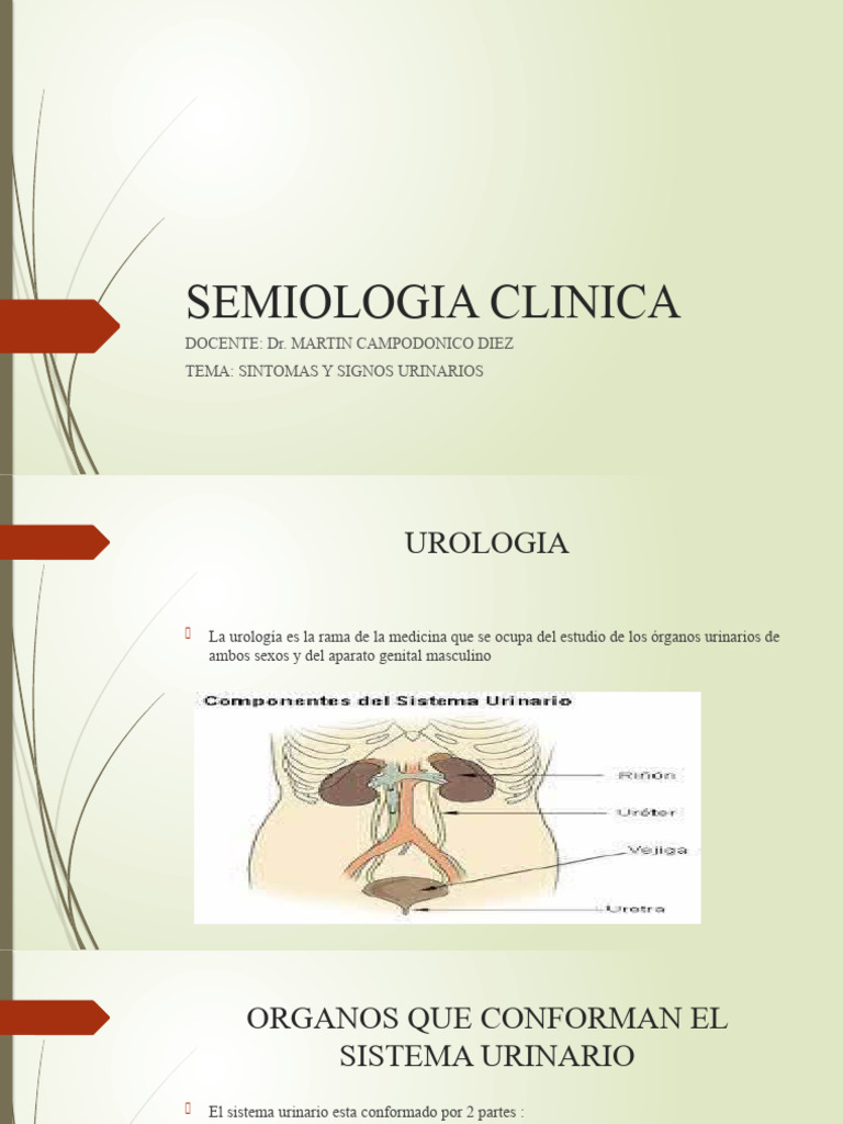 Sintomas Y Signos Urinarios Pdf Orina Riñón
