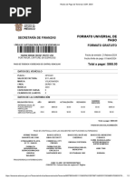 DDJJ EXTRAVIO CEDULA-TITUTLO-PLACAShh | PDF | Finanzas y dinero