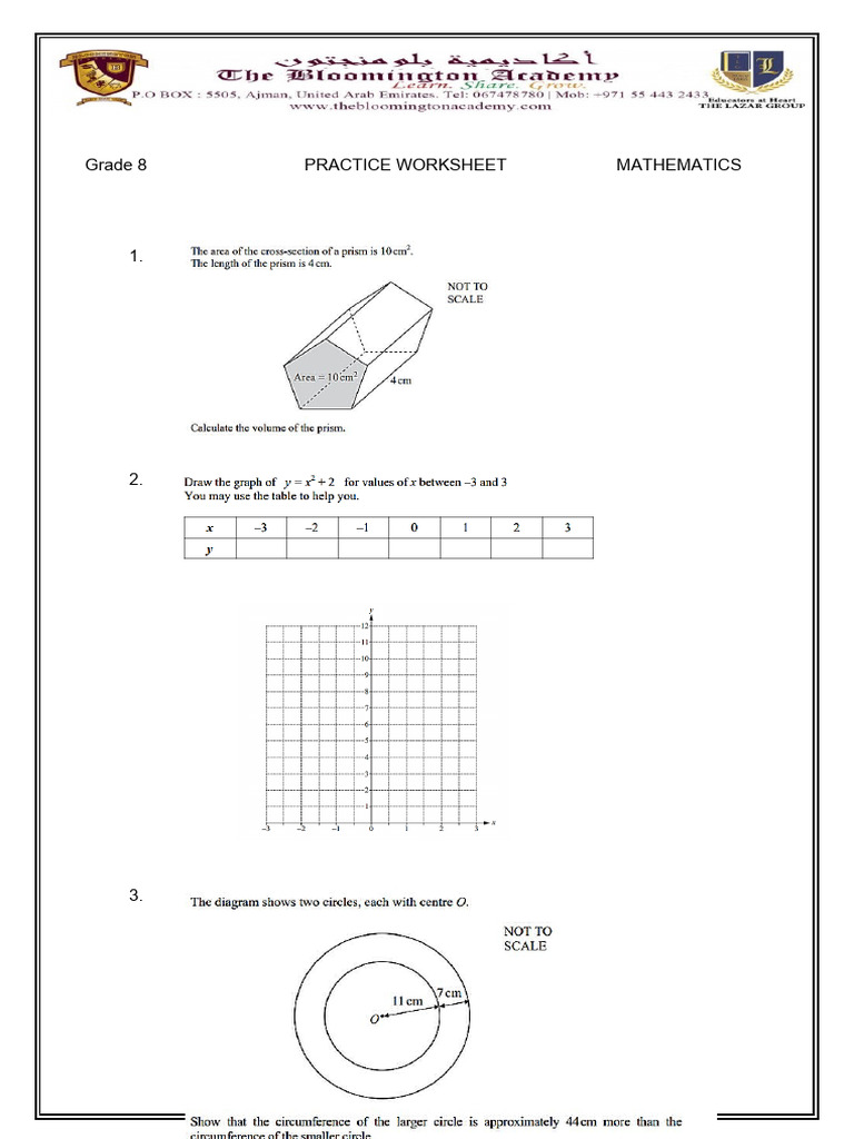 Practise Worksheet 2 Grade 8 | PDF