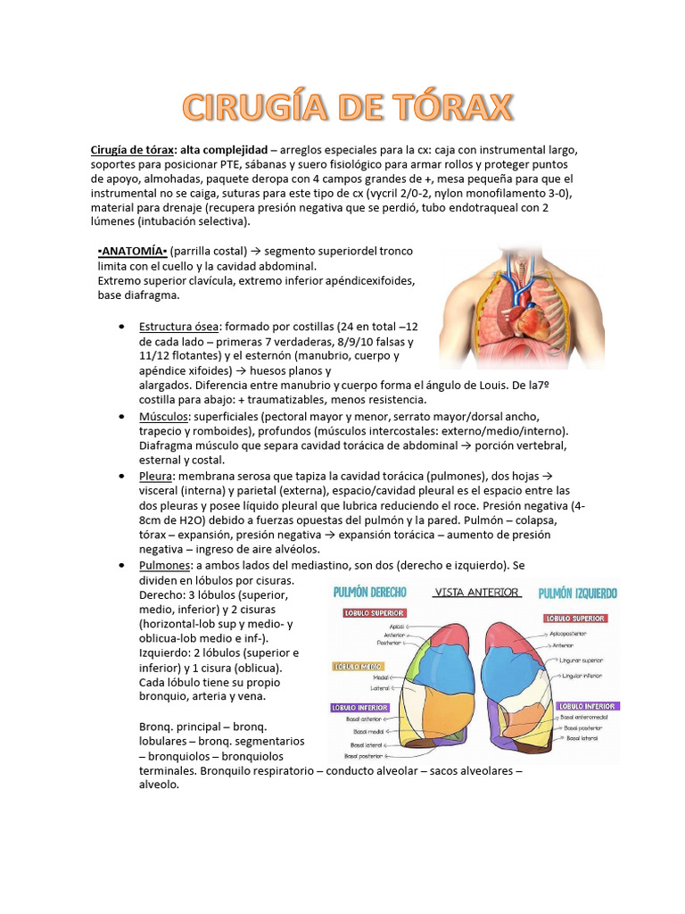 1 - Tórax | PDF | Pulmón | Biopsia