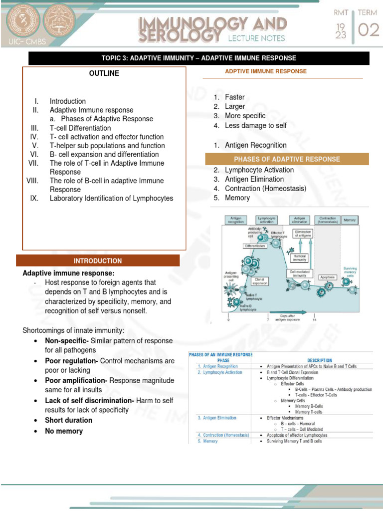 Prelim - Adaptive Immune Response | PDF | B Cell | T Cell