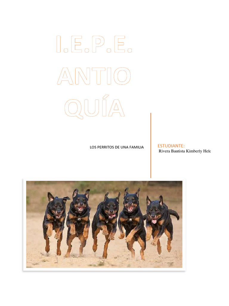 Historia de Perritos | PDF