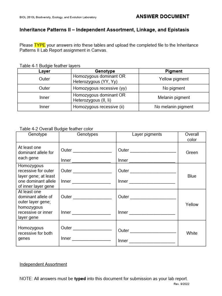 Inheritance Patterns II Answer Document FA22 | PDF | Dominance (Genetics) | Genotype