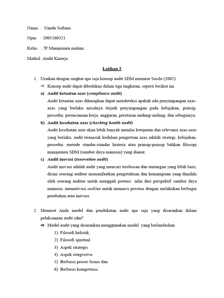 Audit SDM: Konsep dan Proses | PDF