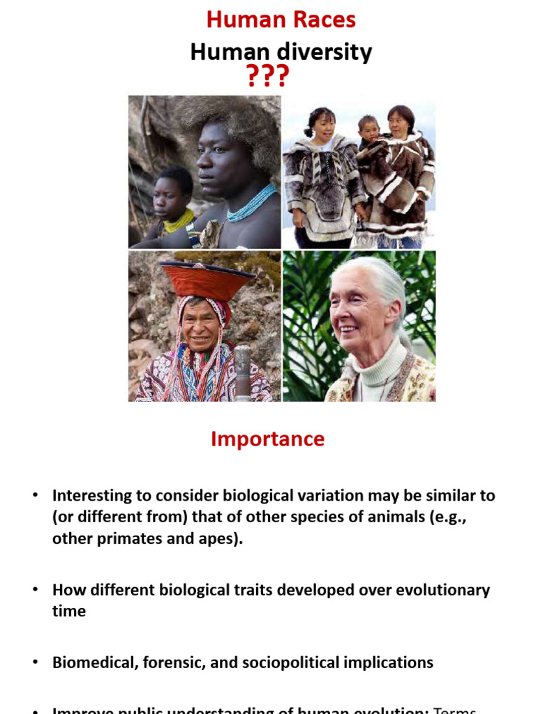 Races Tribe | PDF | Race (Human Categorization) | Genetic Diversity