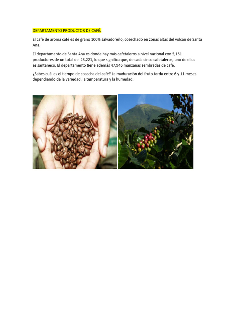 CAFECITO | PDF | café | Té