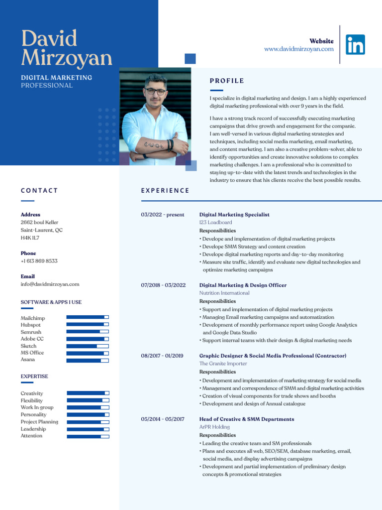 Resume David Mirzoyan Final DM | PDF | Digital Marketing | Analytics