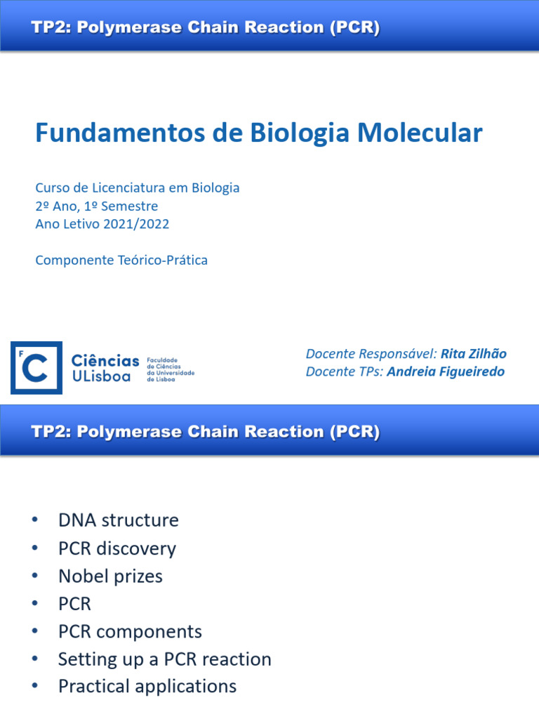 TP 2 PCR 21 - 22 | PDF | Polymerase Chain Reaction | Primer (Molecular Biology)