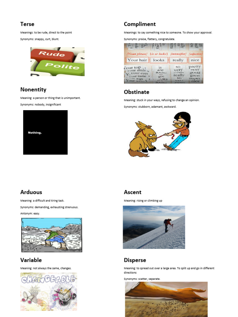 Sample of Our Weekly Work Pack | PDF | Albert Einstein
