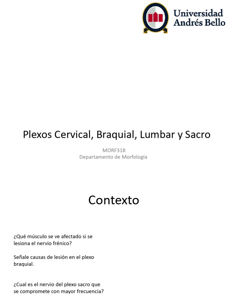 Plexos | PDF | Anatomía del miembro inferior | Extremidades (anatomía)