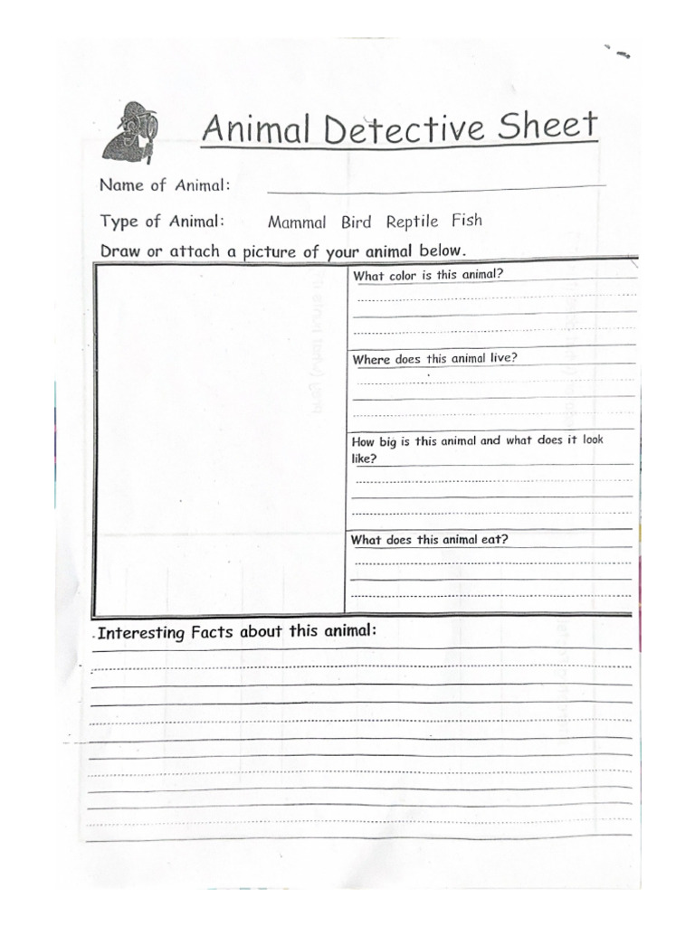 Animal Detective Sheet | PDF