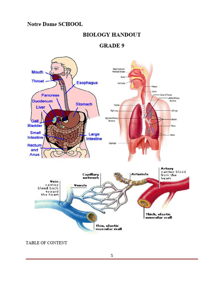 Grade 9 Note All Note | PDF | Carbohydrates | Digestion