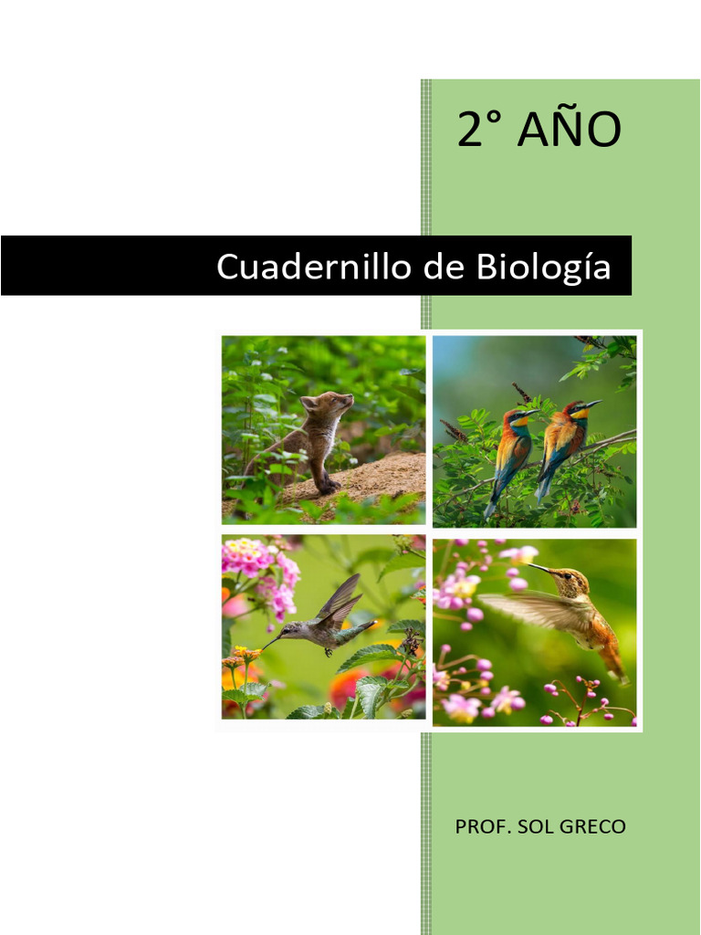 Biología 2 Año Prof Greco Pdf Ciencia Y Matemáticas Tecnología