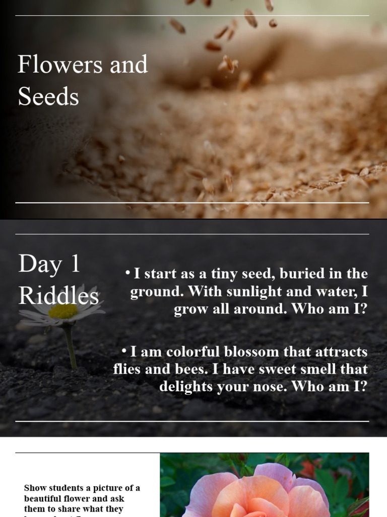 Life Science Lesson 3 Flowers and Seeds1 | PDF | Flowers | Plants