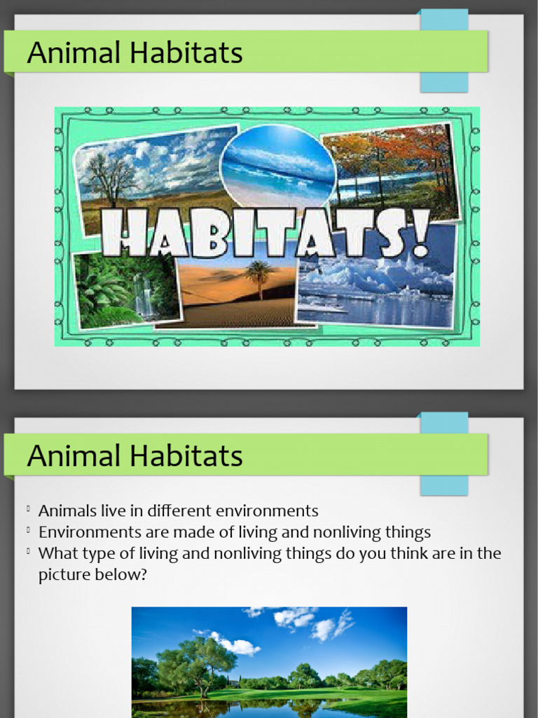 Introduction To Animal Habitats-1 | PDF
