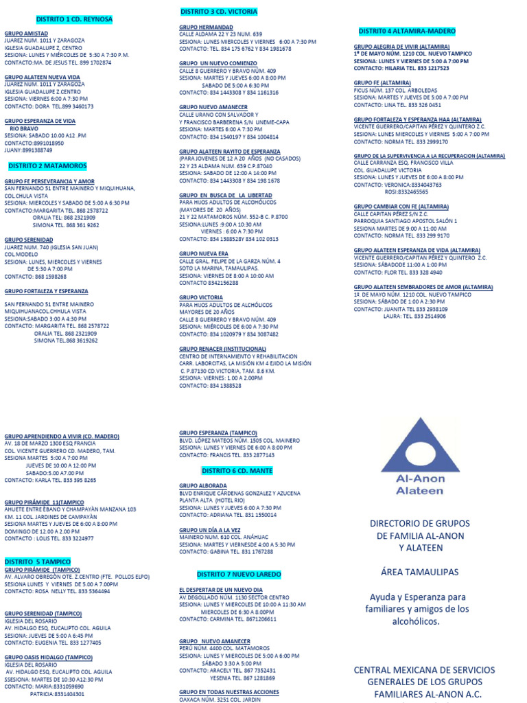 Grupos Al Anon | PDF