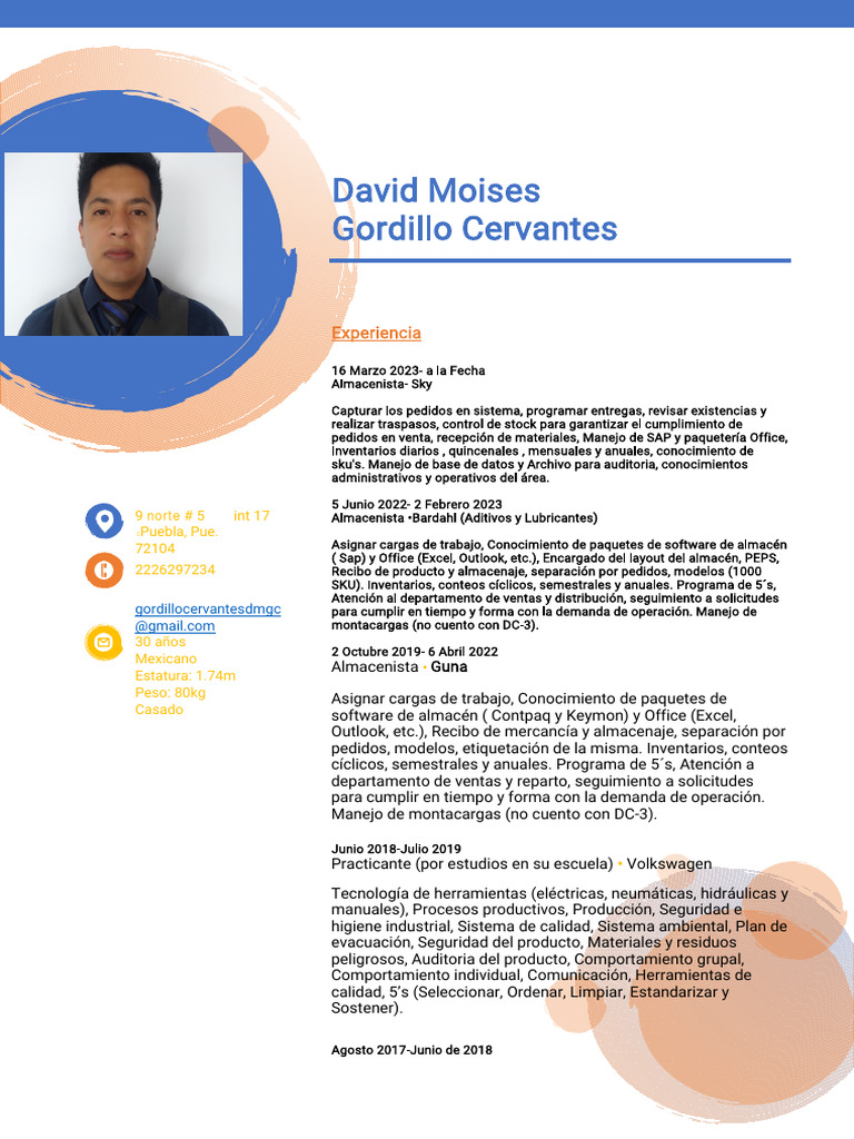 Experto Almacenista con SAP y 5's | PDF