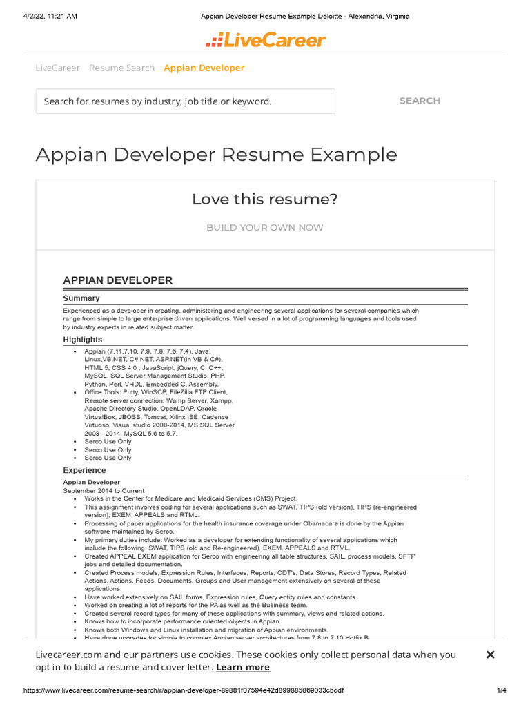 Appian Developer Resume Example Deloitte Alexandria Virginia Pdf My Sql Sql 