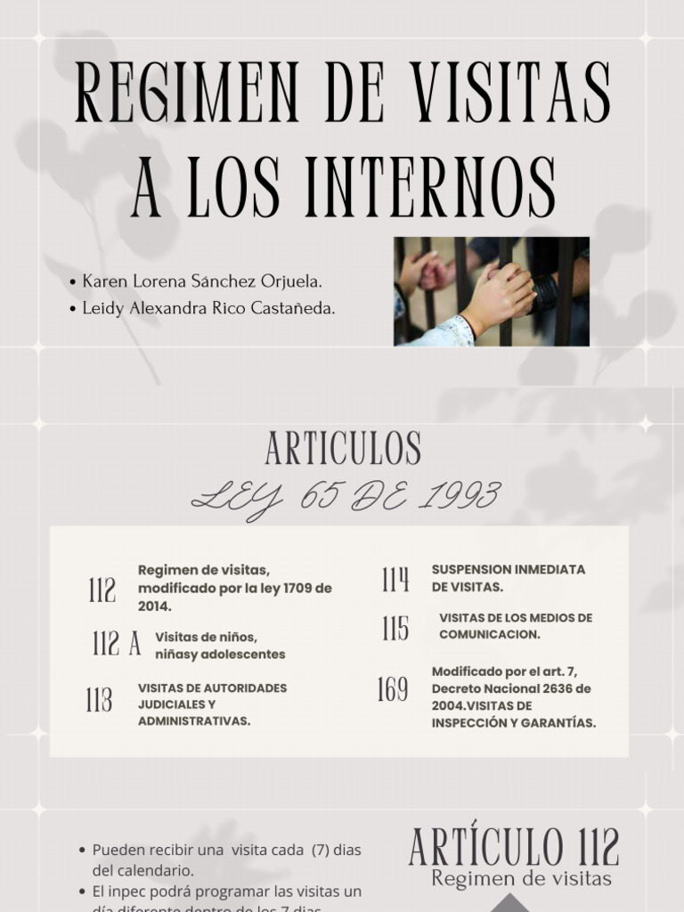 Regimen de Visitas DP | PDF