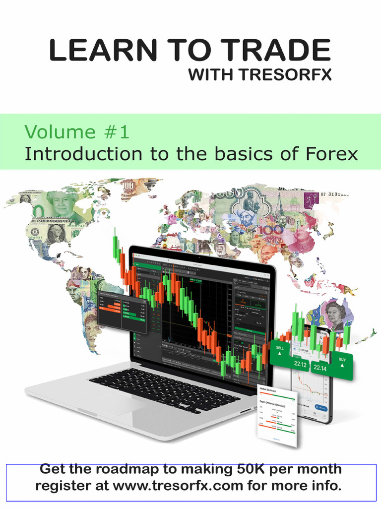 Forex Trading Basics Guide | PDF | Foreign Exchange Market | Money