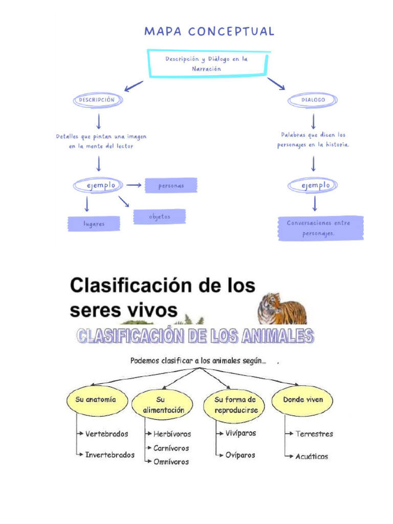 Mapa Conceptual Clasificación y Caracteriticas de Los Seres Vivos Marzo ...
