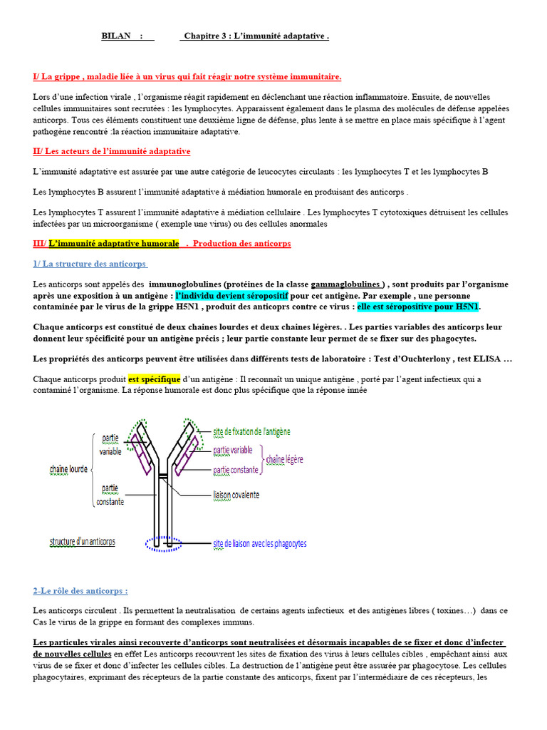 Bilan Chapitre 3 L ' Immunite Adaptative | PDF | Système immunitaire ...