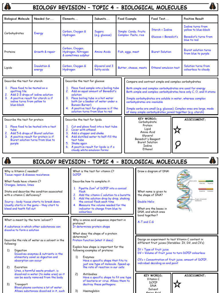 Topic 4 Biological Molecules Summary Sheets Model Answers | PDF ...