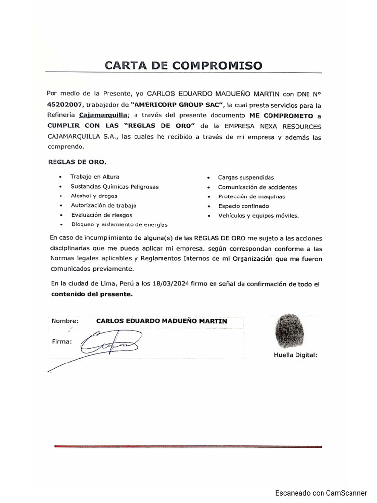 Carta de Compromiso | PDF