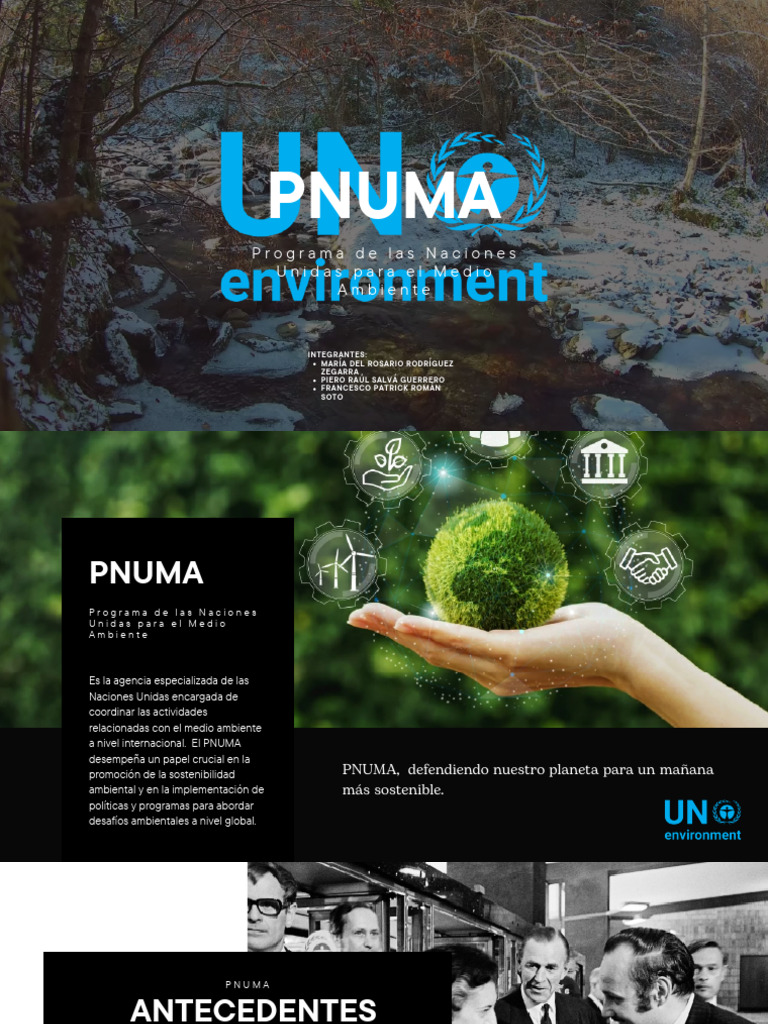 PNUMA-G5+(2) | PDF | Programa del Medio Ambiente de las Naciones Unidas ...