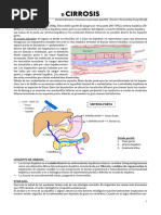 Fisiopatologia de La Cirrosis Hepatica | PDF | Cirrosis | Hígado