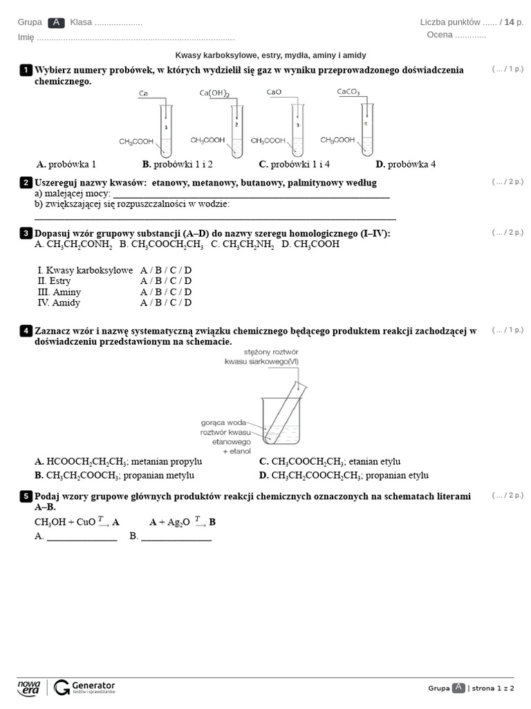 Kwasy Karboksylowe, Estry, Mydła, Aminy I Amidy Test (Z Widoczną ...
