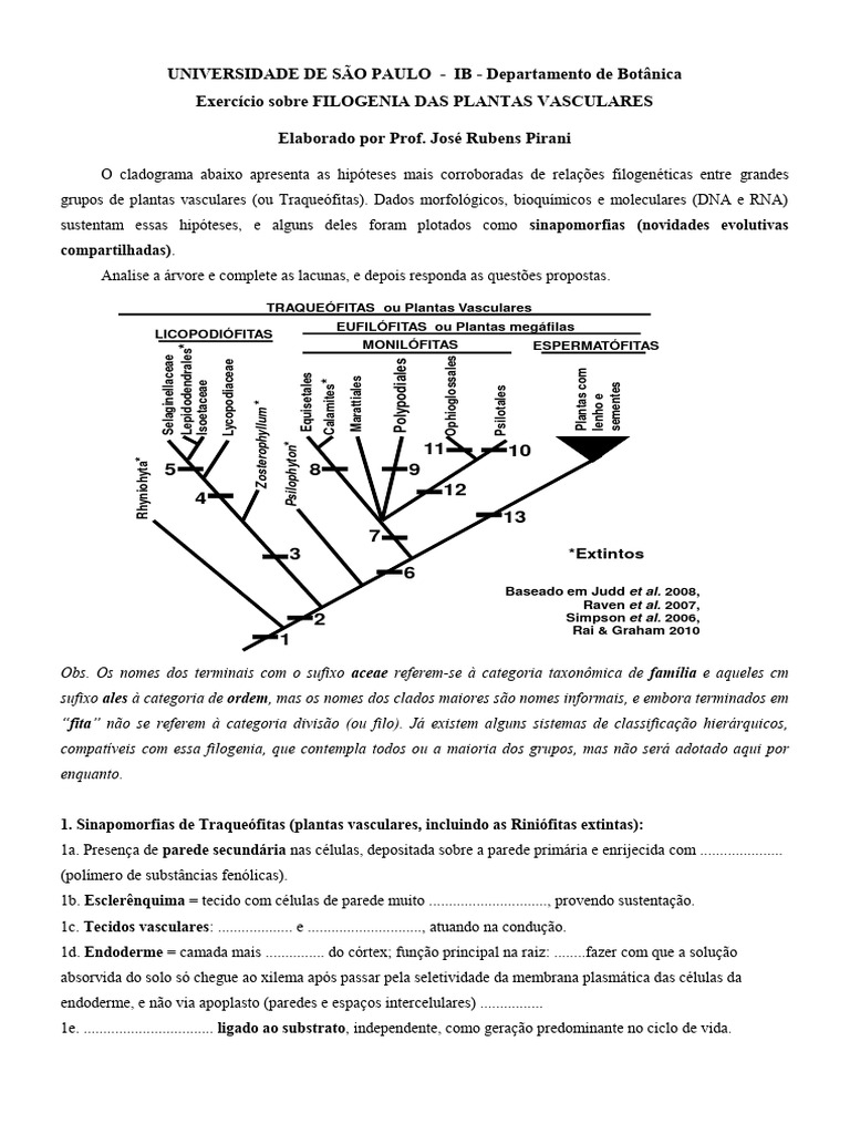 Exercicio Filogenia de Plantas Vasculares - 2016 | PDF | Raiz | Plantas