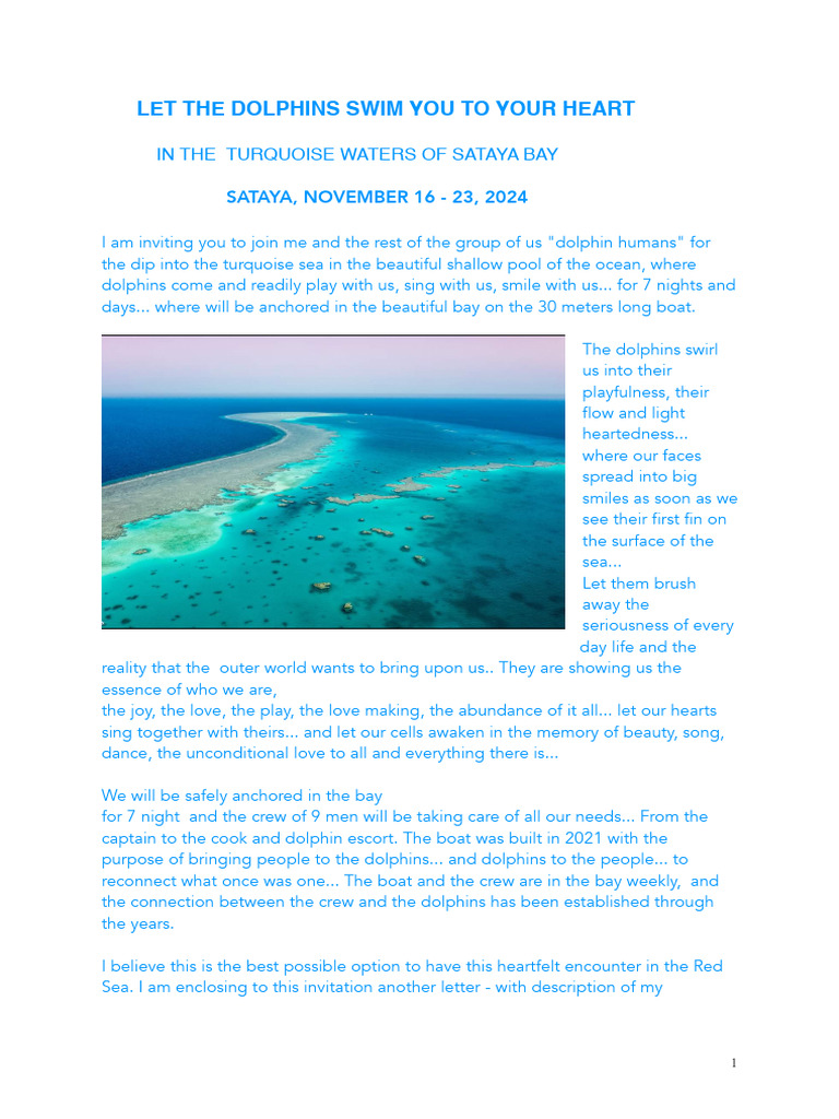DOLPHINS 2024 Egypt PDF | PDF | Snorkeling | Dolphin