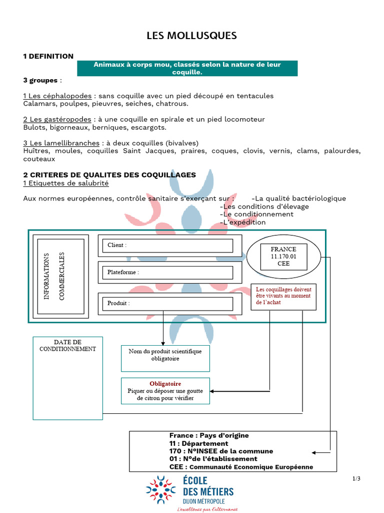 Classification des mollusques et crustacés | PDF | Bivalvia | Huître