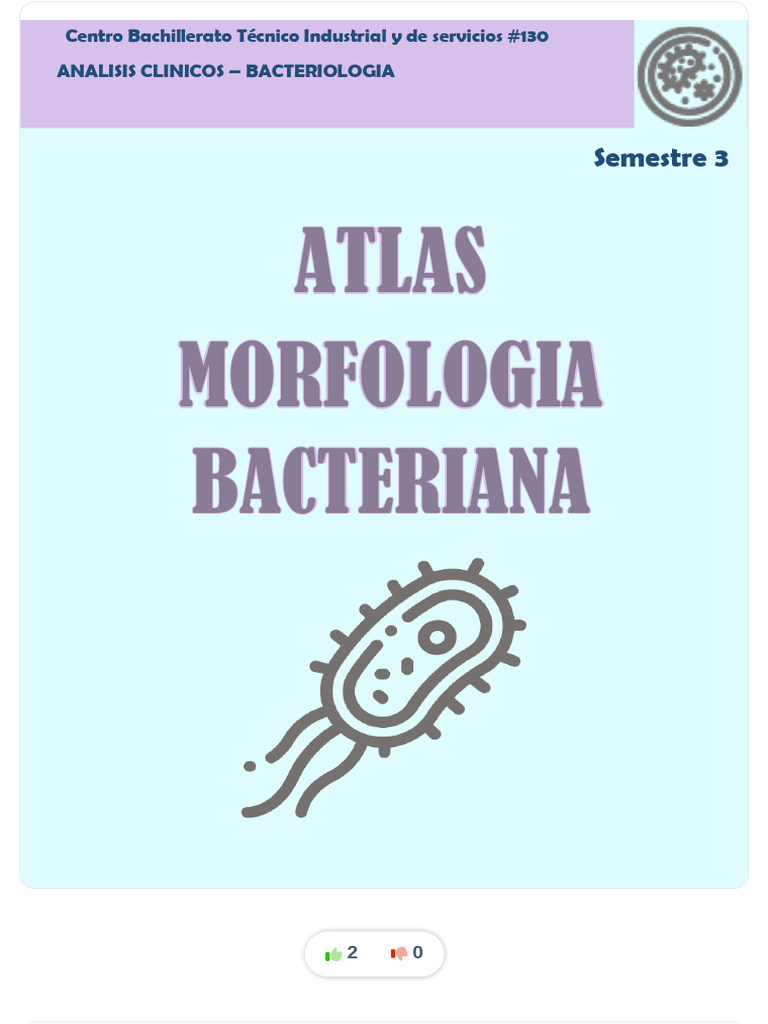 Atlas de Morfologia Bacteriana Bacteriologia - Compress | PDF | Estreptococo | Las bacterias