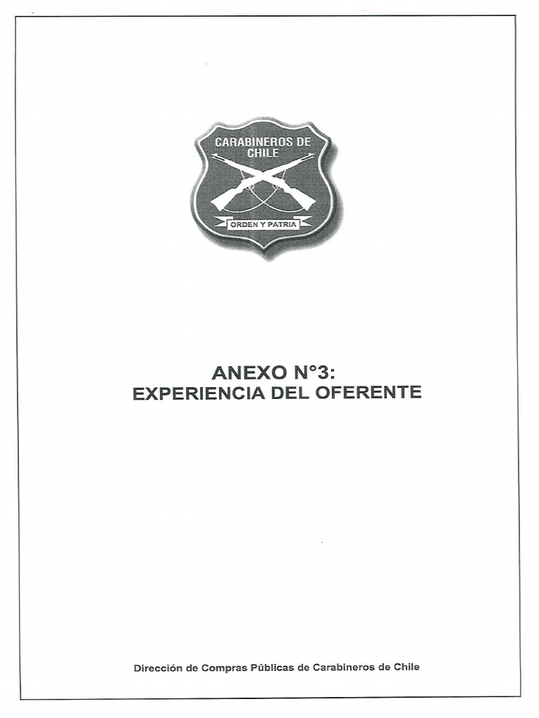 Anexo N°3 Experiencia Del Oferente | PDF