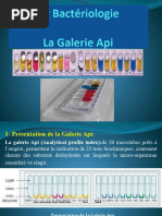 GALERIE API 20E Ensemencement Lecture Et Interprétation | PDF ...