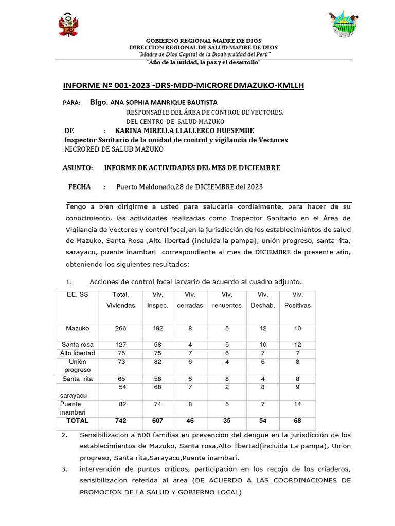 Karina Original Informe 01 | PDF