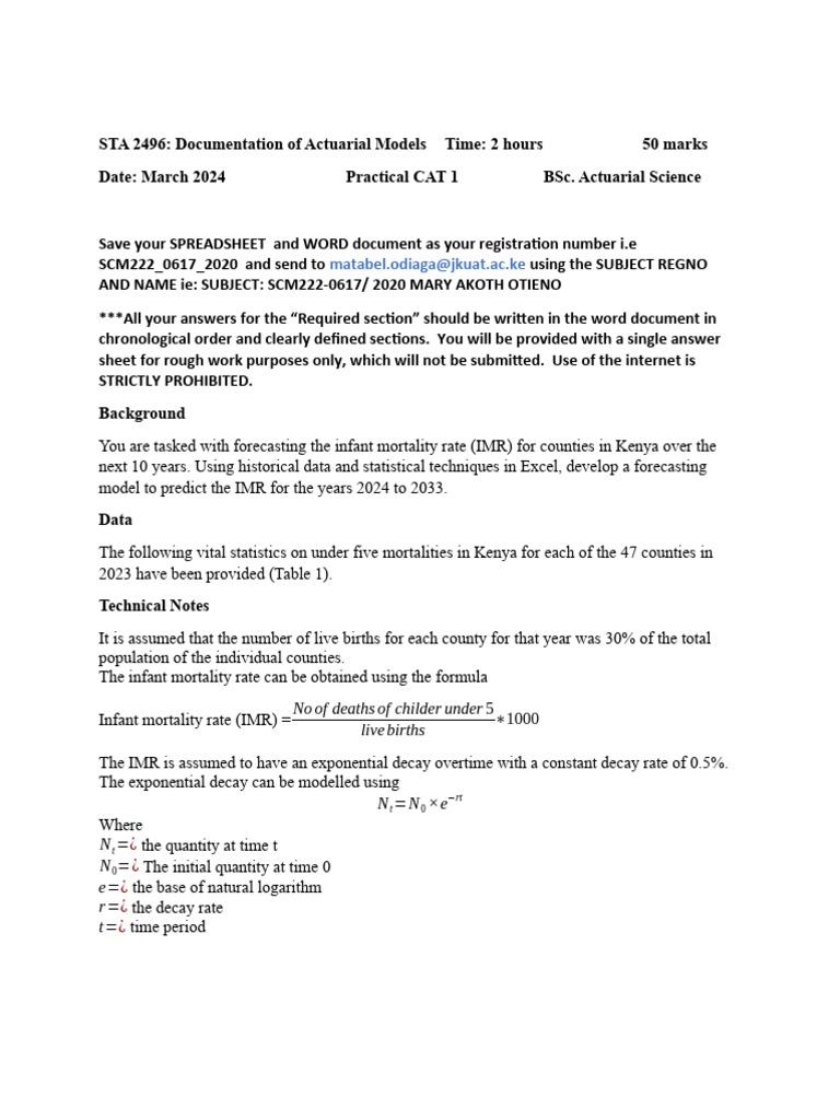 Cat1 2024 and Solutions | PDF | Spreadsheet | Sensitivity Analysis