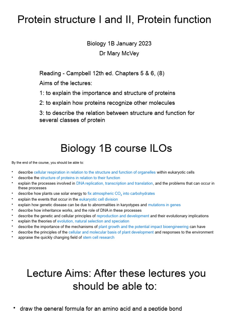 L8 2023 Protein Structure 1 | PDF | Proteins | Protein Structure